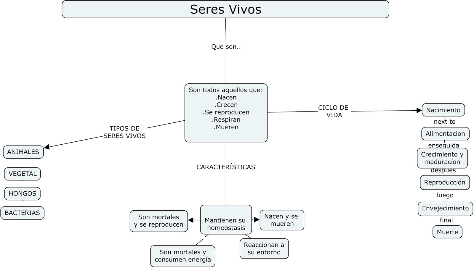 Seres vivos: Funciones vitales