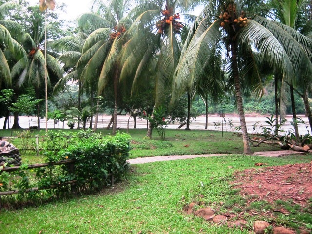 Turismo y Cultura Amazónica: Los encantos del distrito de Chazuta y sus ...