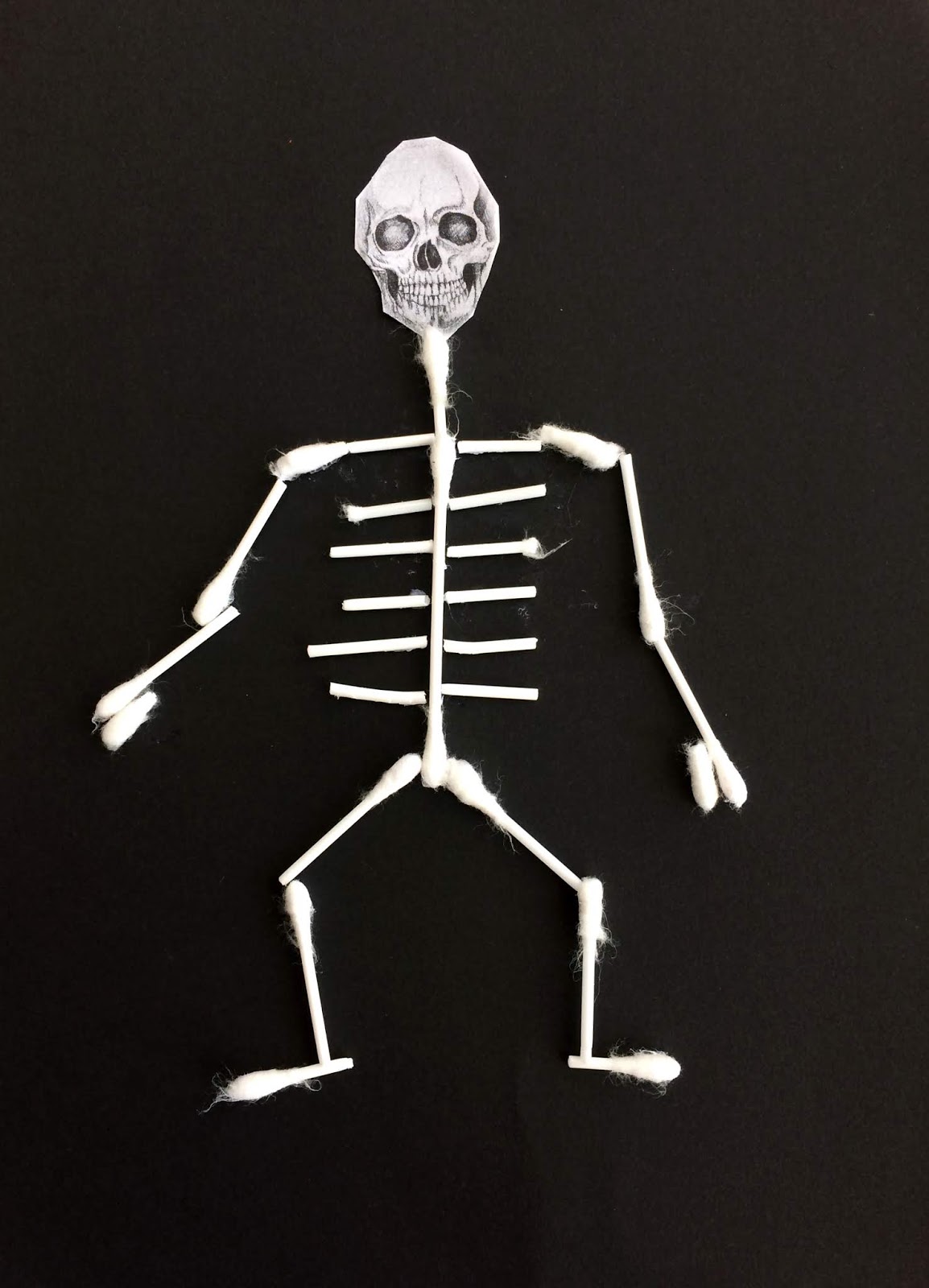 Scheletul uman- activitate practică - Materiale didactice de 10(zece)