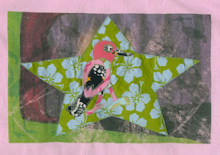 A Thousand Words ...: Funky Bird T's: To Star or Not to Star