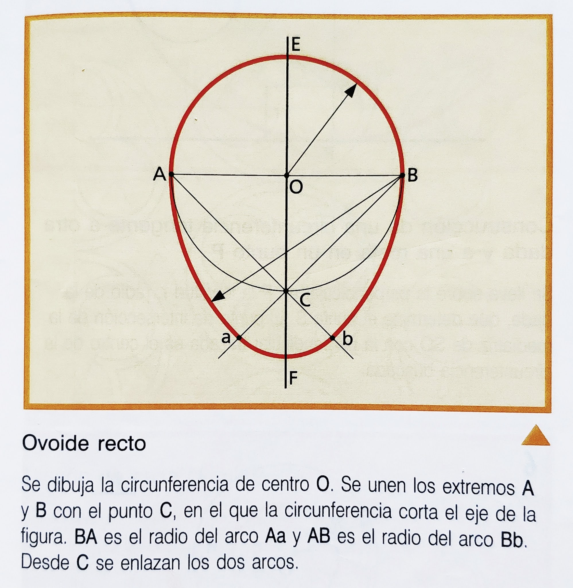 ¡qué ARTE, quillo!: UD.2 #4EPVA: Elementos del diseño 2, Óvalos y Ovoides