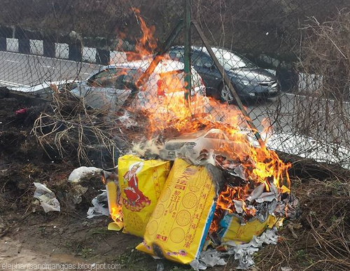 Cheng Beng : It's Tomb-Sweeping Day | Elephants & Mangoes