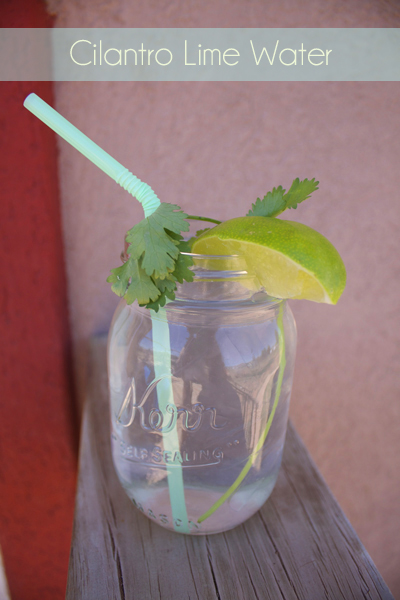Nest Candy: Cilantro Lime Flavored Water