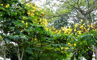 UMI & TSURU: May 2011