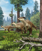 Species New to Science: [Paleontology • 2021] Parasaurolophus ...