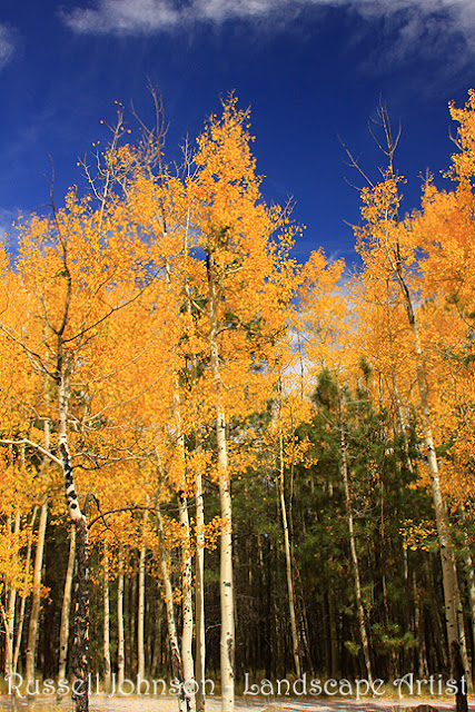 Lockett Meadow – SF Peaks – Fall Colors | Russell Johnson