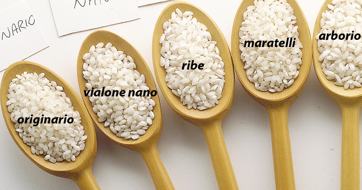 Il riso (Oryza spp.)