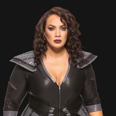 Beautiful Women of Wrestling: The WWE NXT Divas Roster - 2016