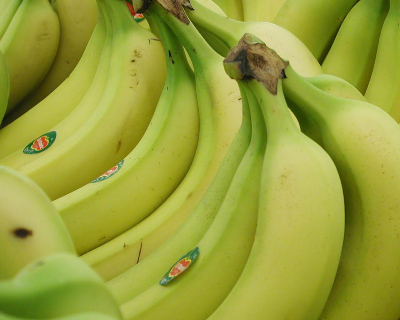 Buatlah Iklan Tentang Manfaat Buah Pisang - Eminence Solutions