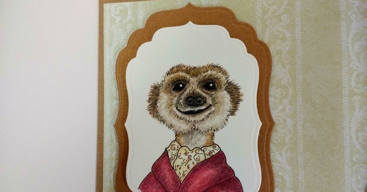 Compare the Meerkat birthday card!