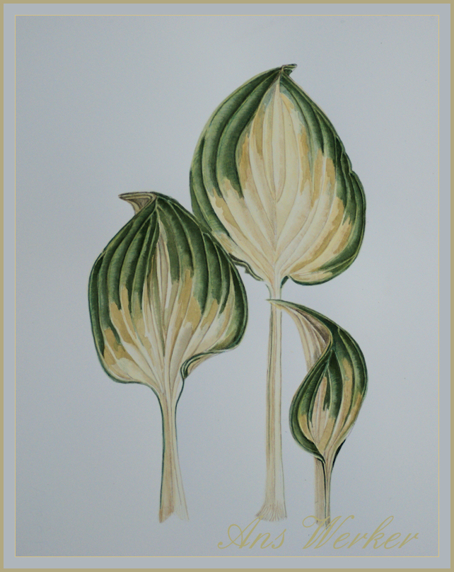 Ans Werker, ans-artplace, drawings and paintings, sculpture, dolls ...