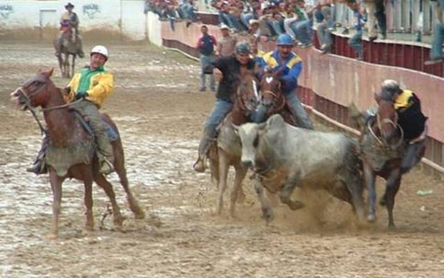 Tu Destino Alto Apure: El coleo o Toros Coleados