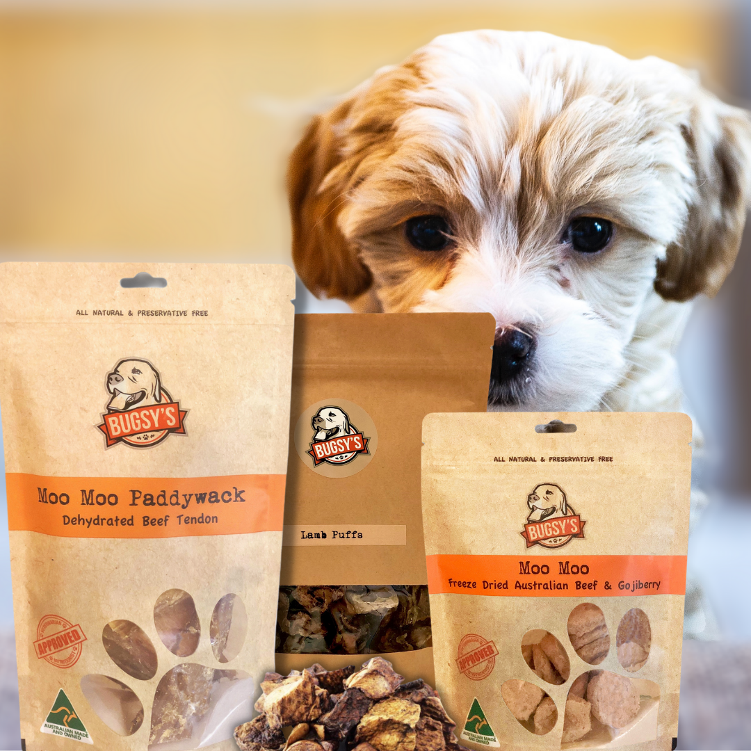 Best Dog Boredom Busters & Toys in 2021 | Australian Dog Lover