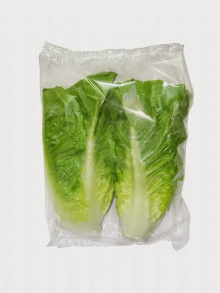 Safra de bri: LA LECHUGA-VARIEDADES Y USOS