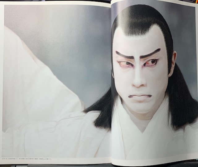 Kabuki Woogie: 14. KABUKI BOOK COVERS: ICHIKAWAWA EBIZO: NARITAYA NO ...