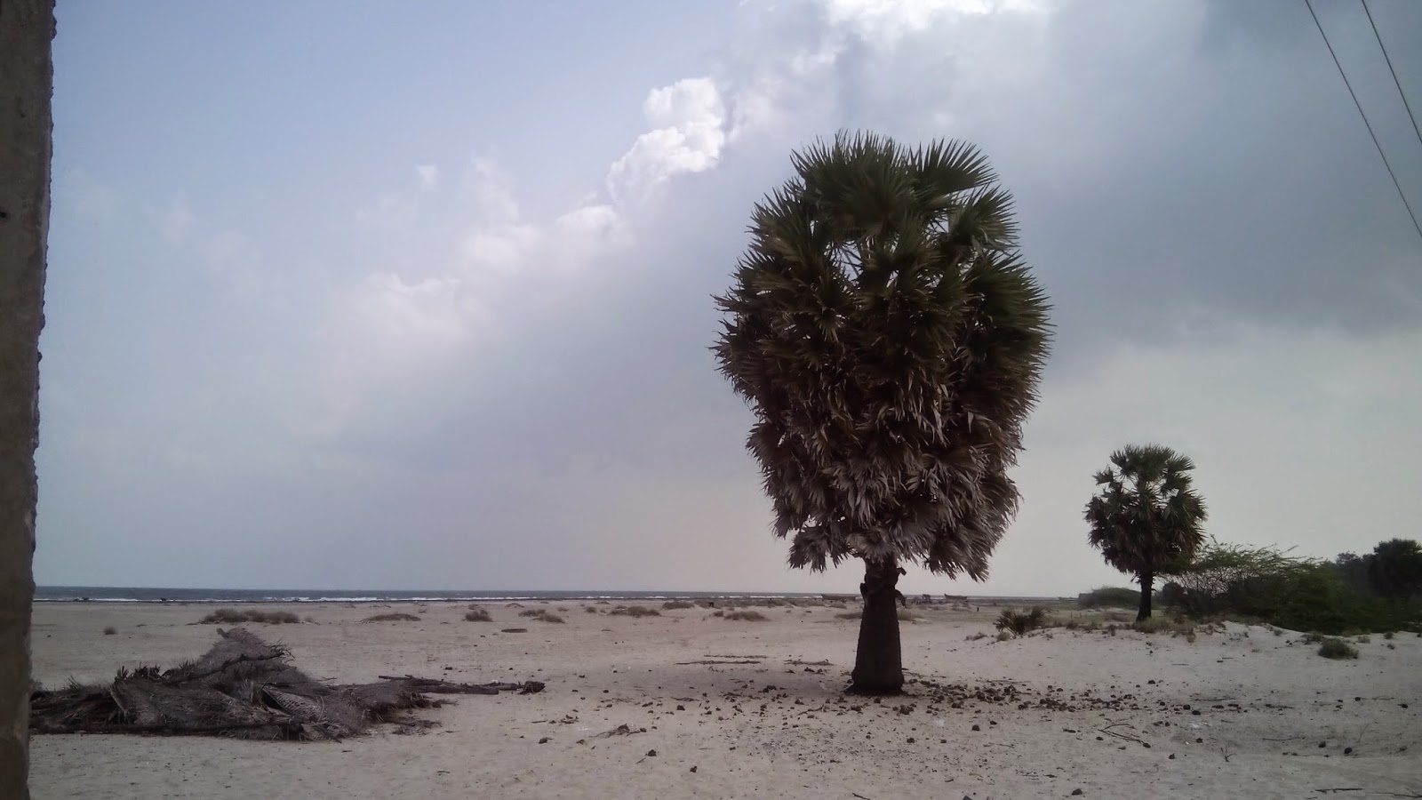 Tamilnadu Tourism: Ariyaman Beach (Kushi Beach), Rameswaram