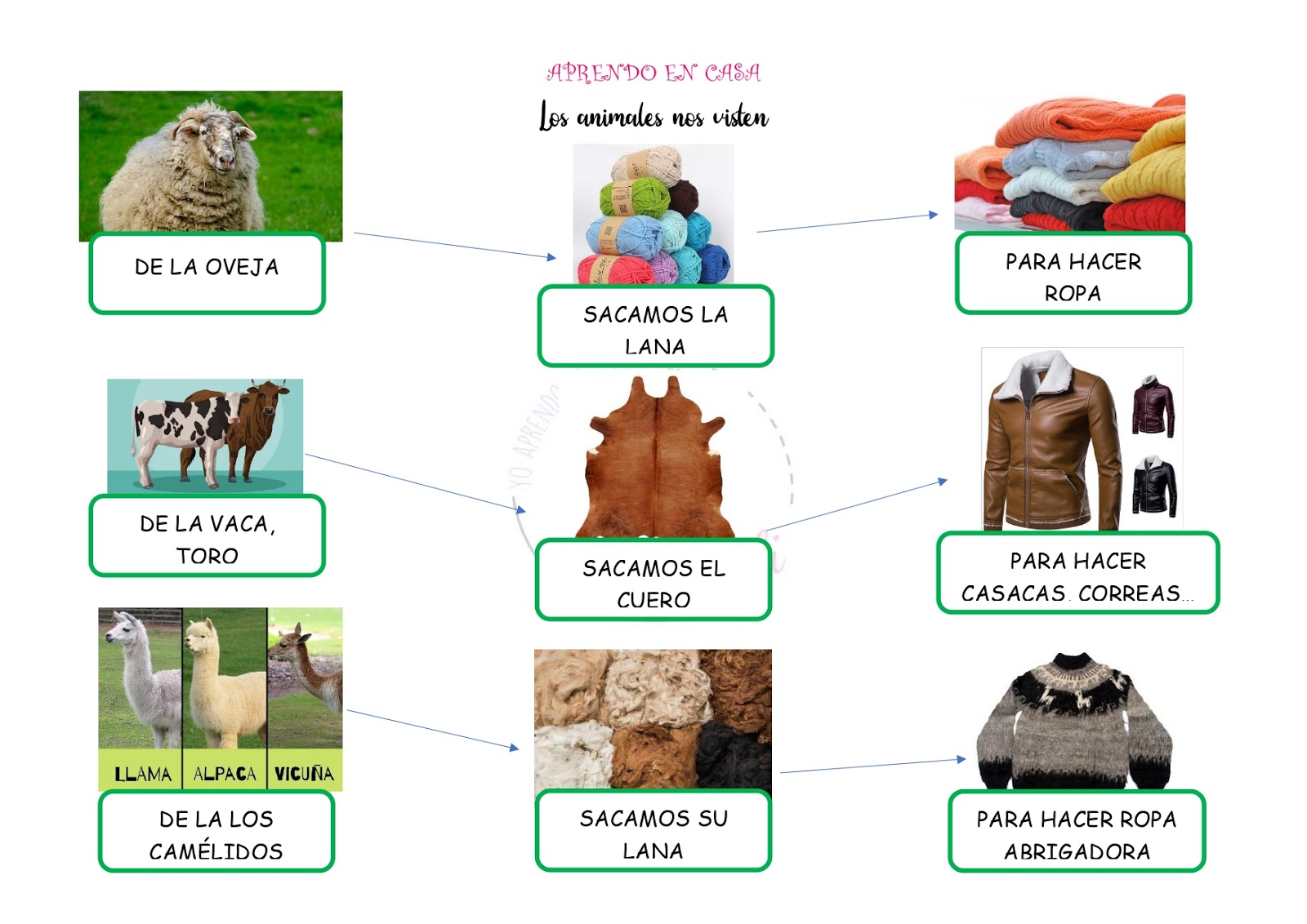 YO APRENDO EN CASA CON MISS LILI: Martes 21 de julio: ¿Qué nos ofrecen ...
