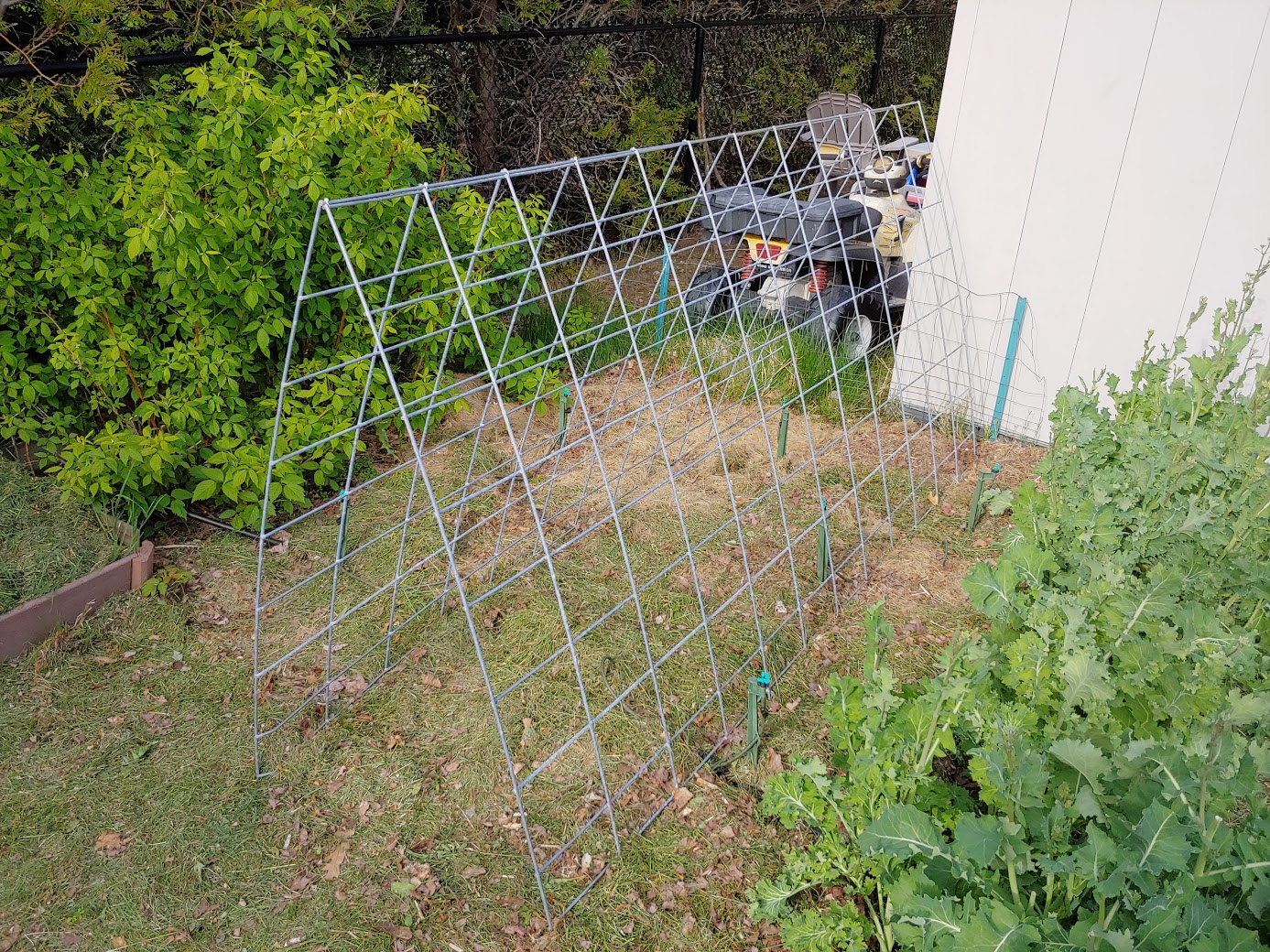 Easy Vegetable Garden Trellis