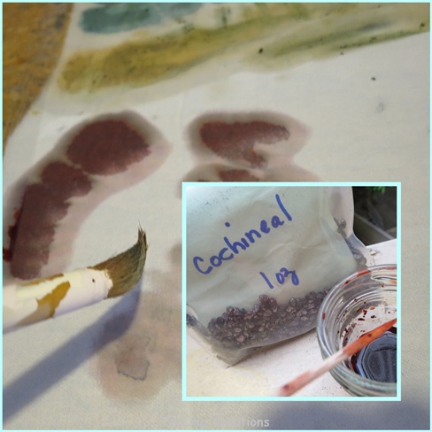 Terrie ~.~ smiling.....: Natural color extraction experiment 天然色素試驗畫作