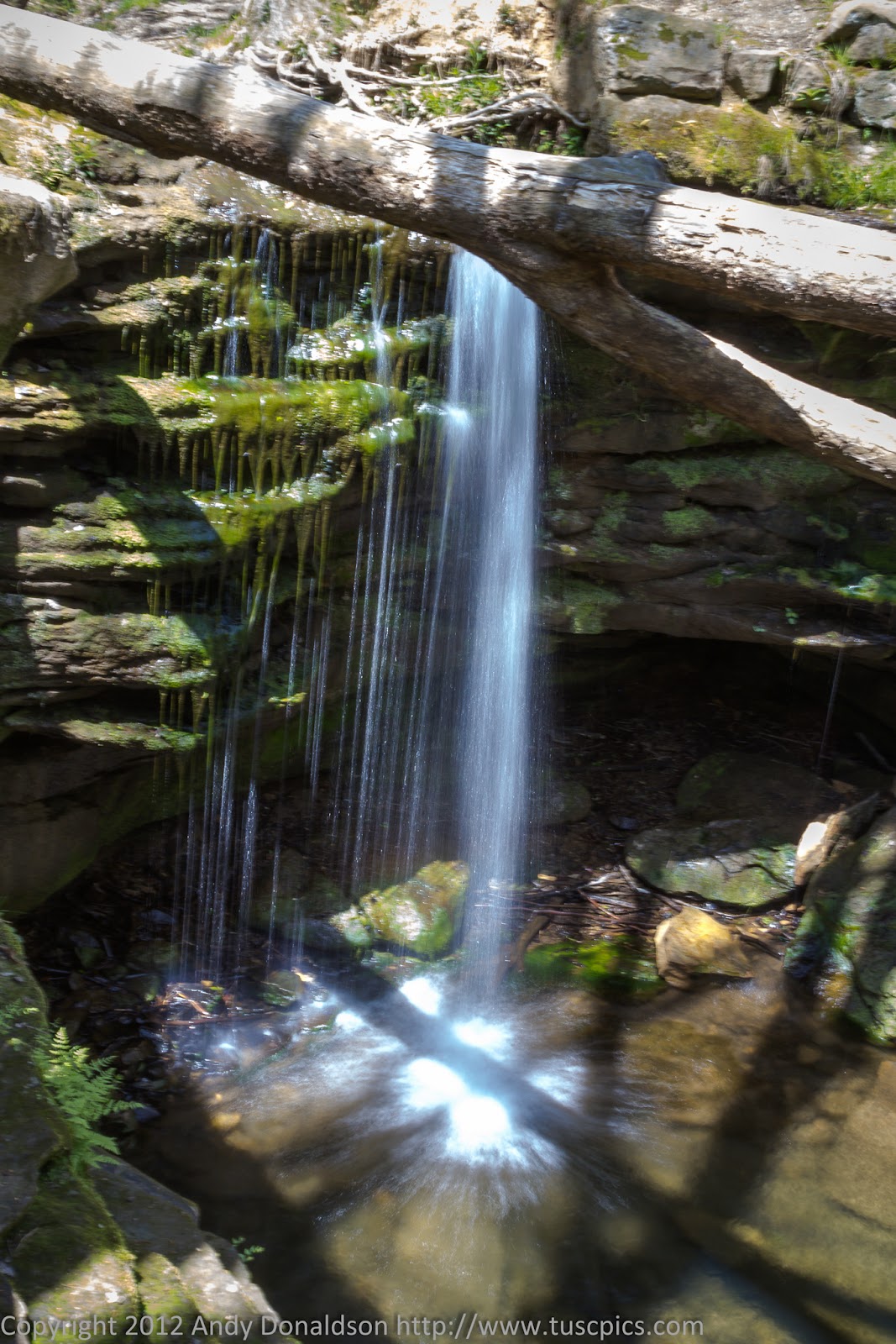 Welcome to the blog of Andy Donaldson Photography: Dundee Falls