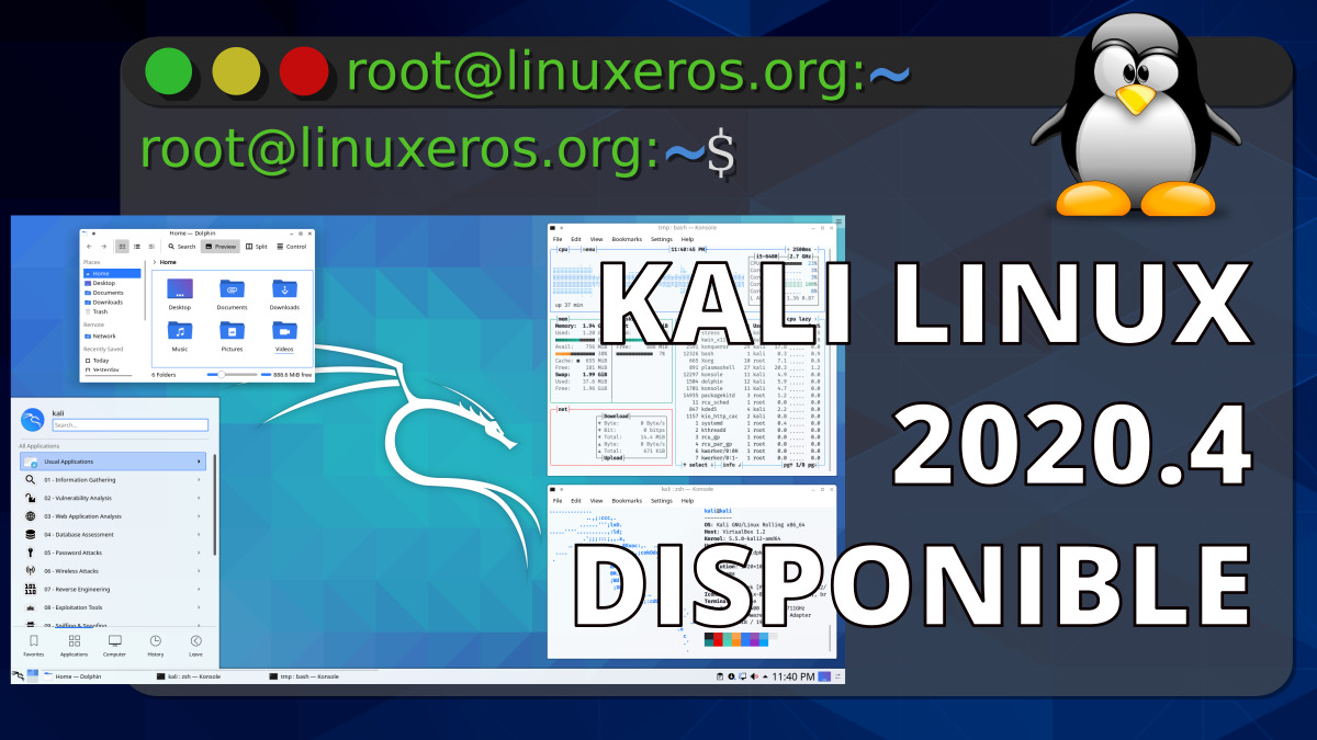 Kali Linux 2020.4, con Linux 5.9 y ZSH como shell ~ Linuxeros