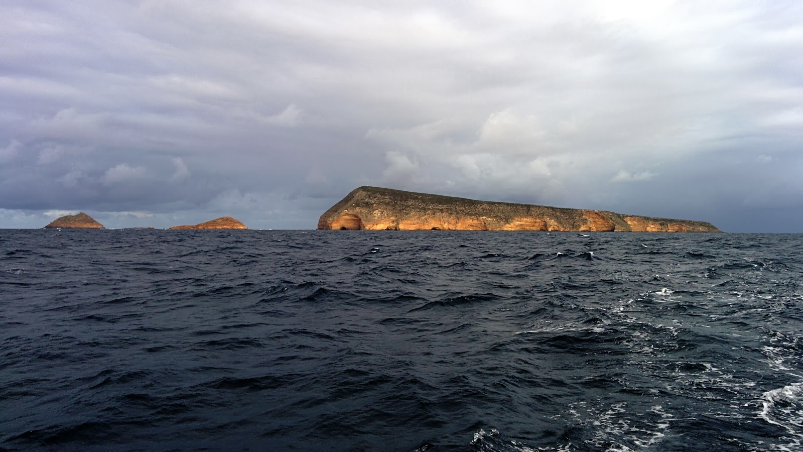 Cruise: Wedge Island, Althorpe Island and Western River Cove, Kangaroo ...