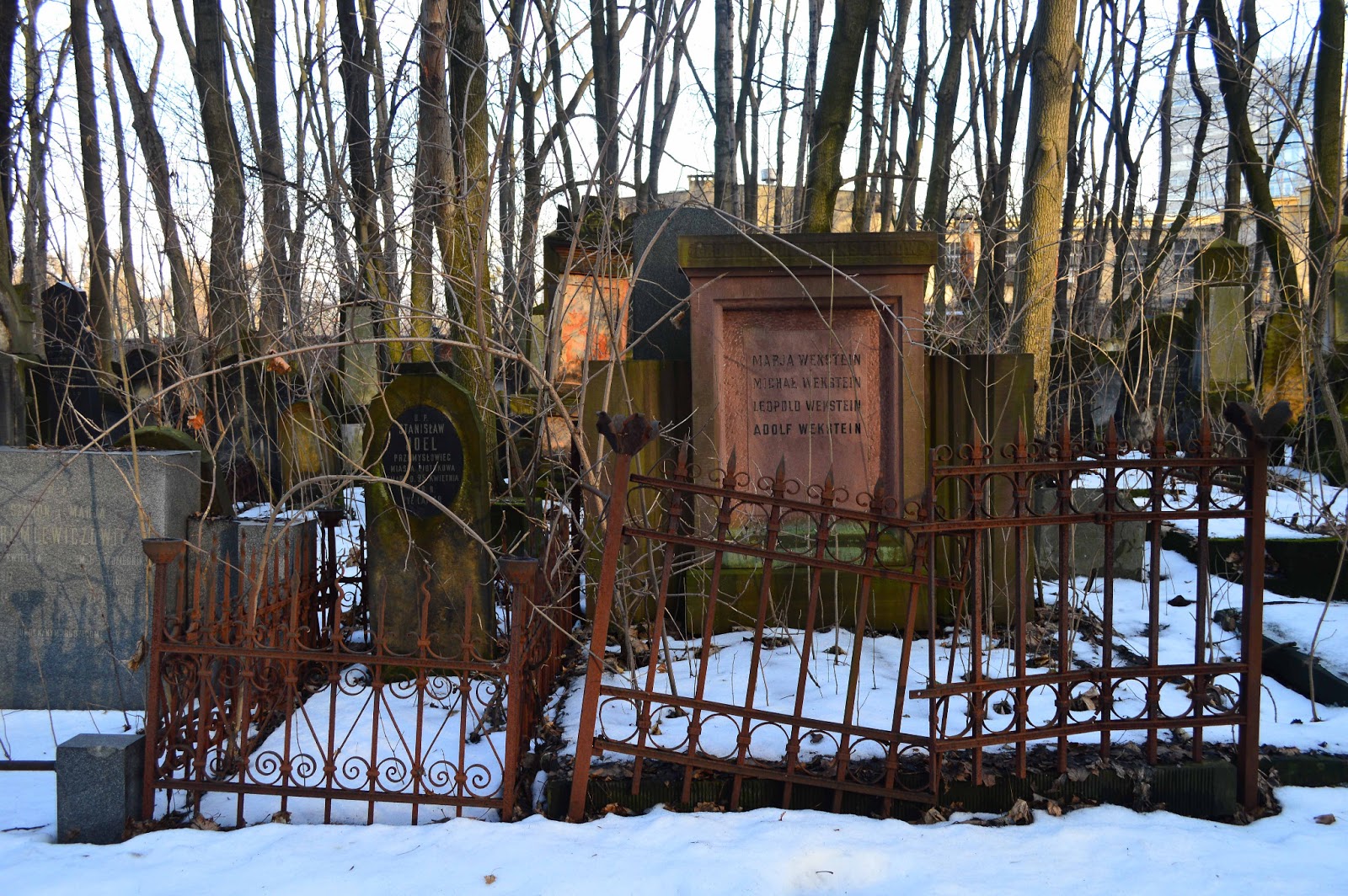 W-wa Jeziorki: A visit to the Jewish cemetery, Warsaw