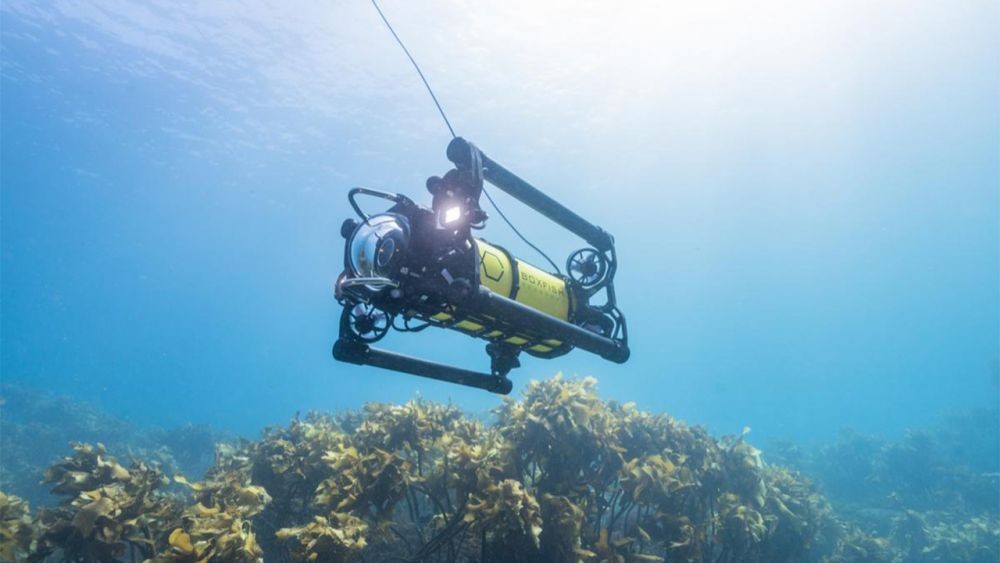 Inilah 7 Fakta Drone Bawah Laut yang Perlu Kamu Ketahui