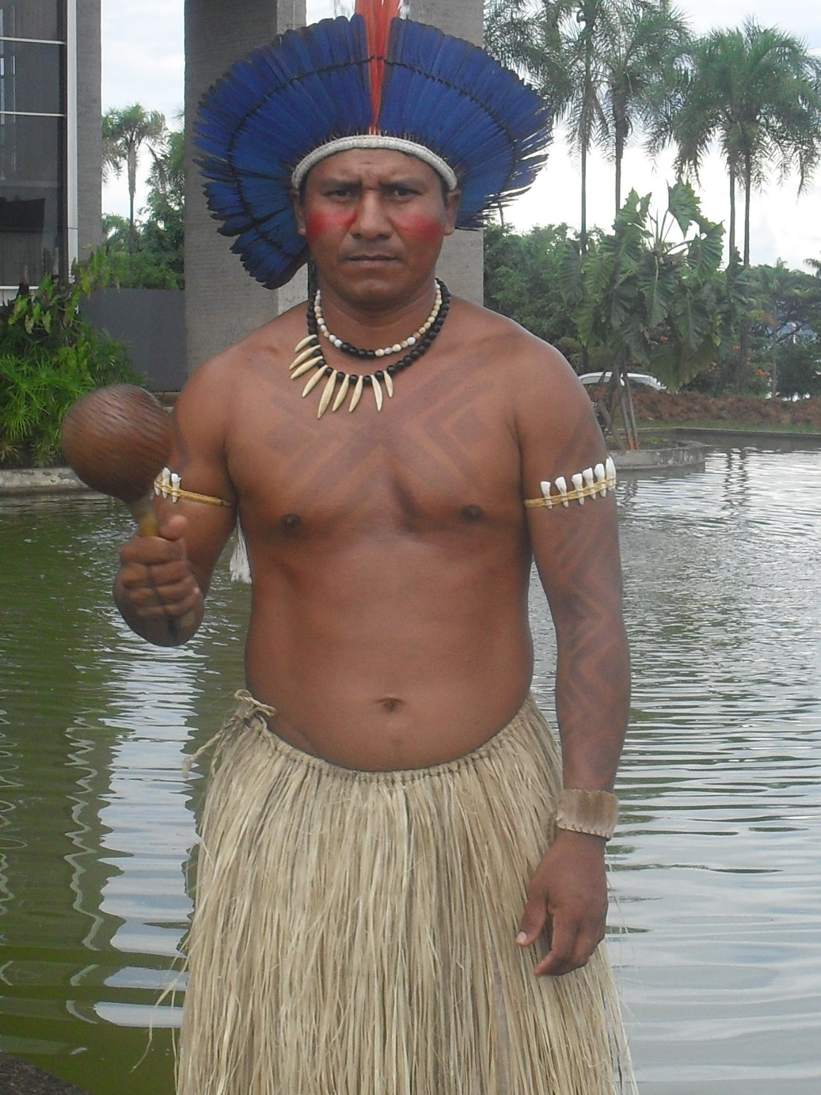 ÍNDIOS POTIGUARA DA PARAÍBA.COM: Os povos indígenas no Brasil