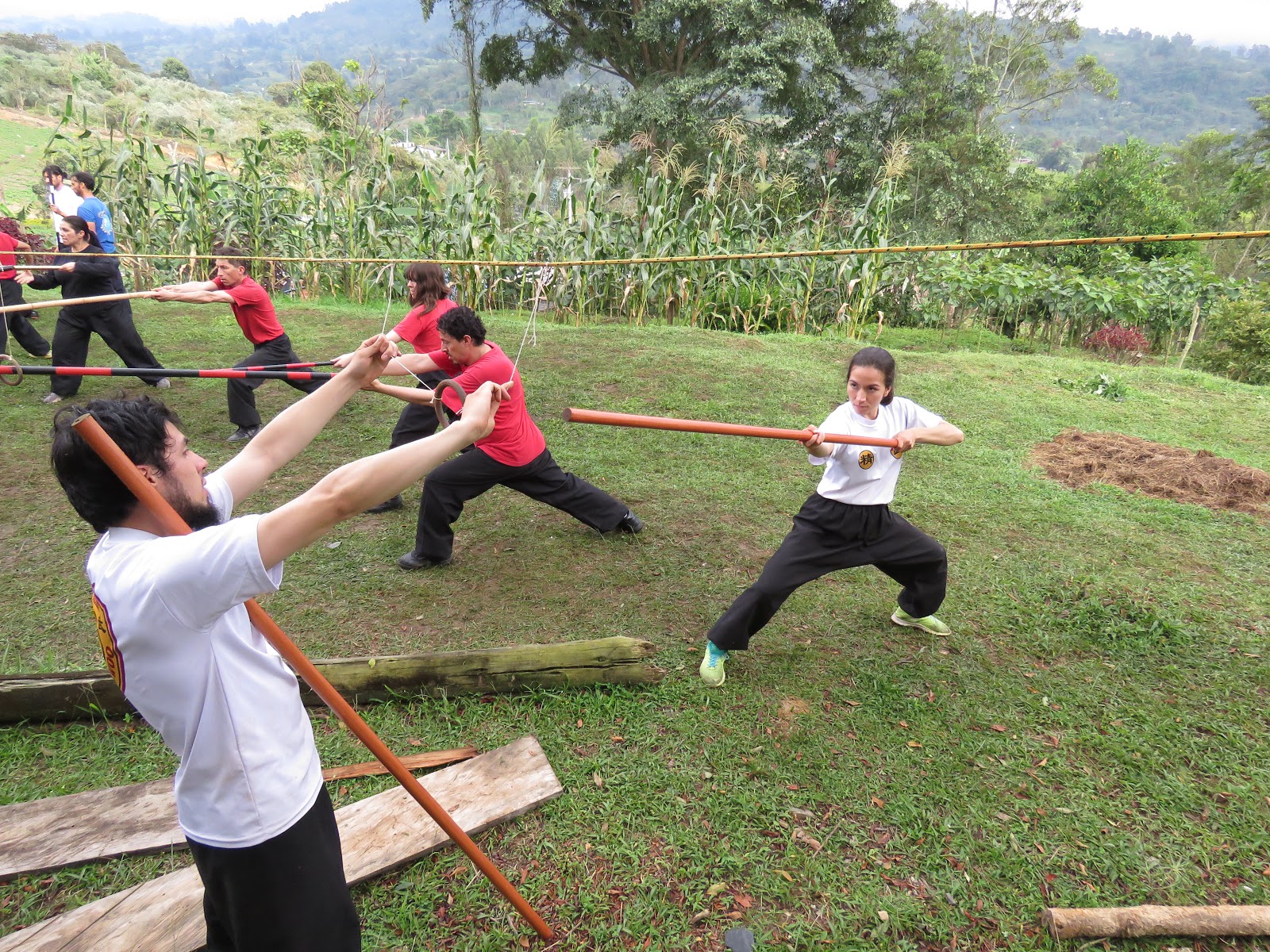 KUNG FU BOGOTÁ. : BASTÓN LARGO