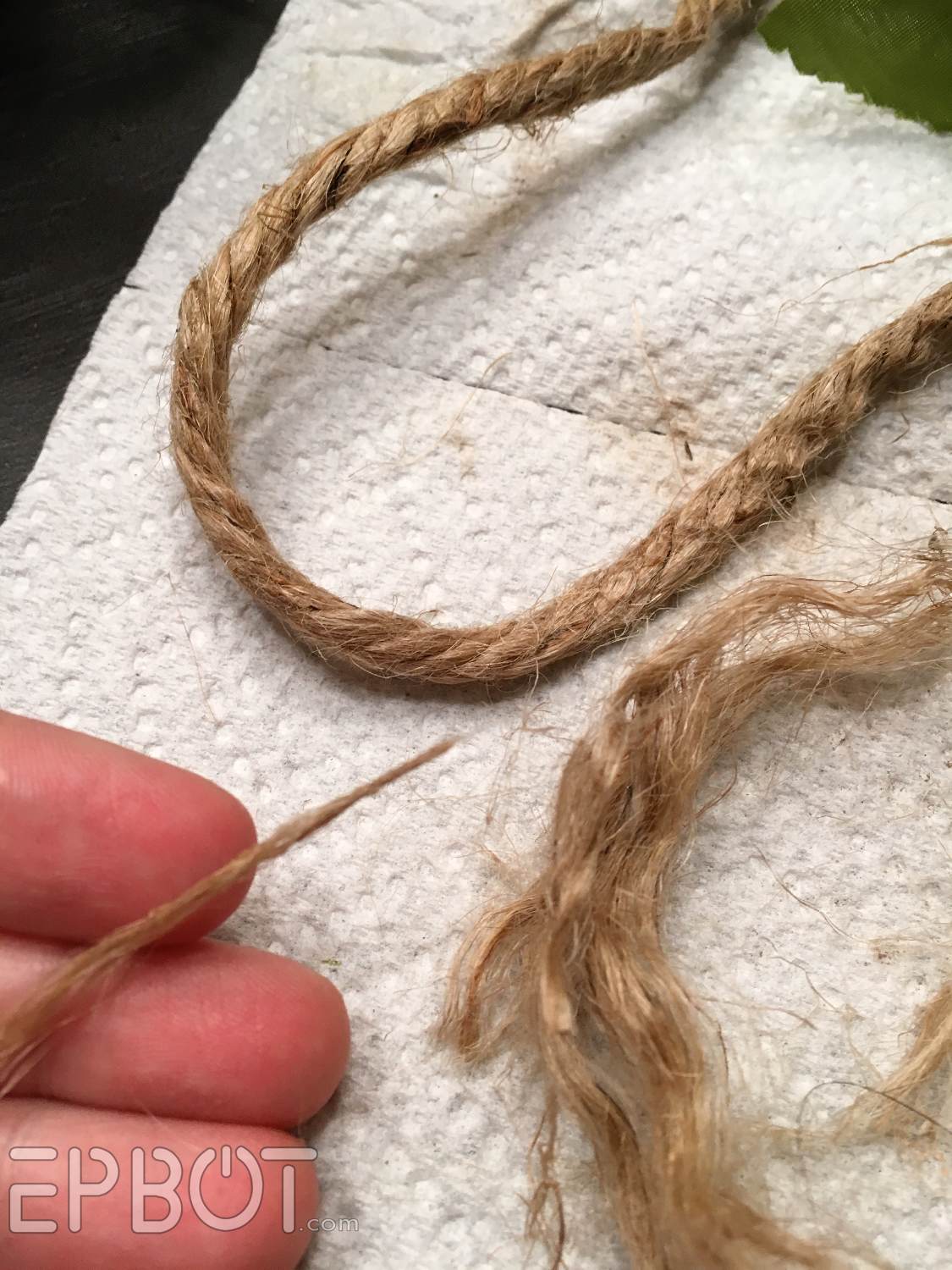 EPBOT: DIY: A Harry Potter-Inspired Mandrake Root Valentine Bouquet!