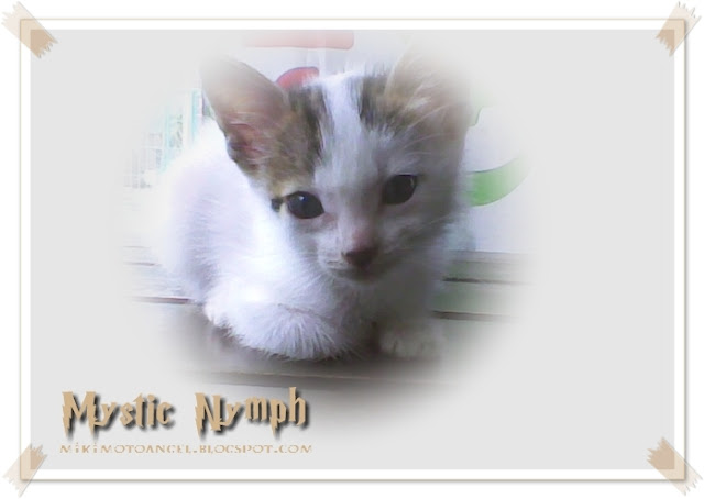 Mystic Nymph: Mystique Shutterbug: Mousy Diaries