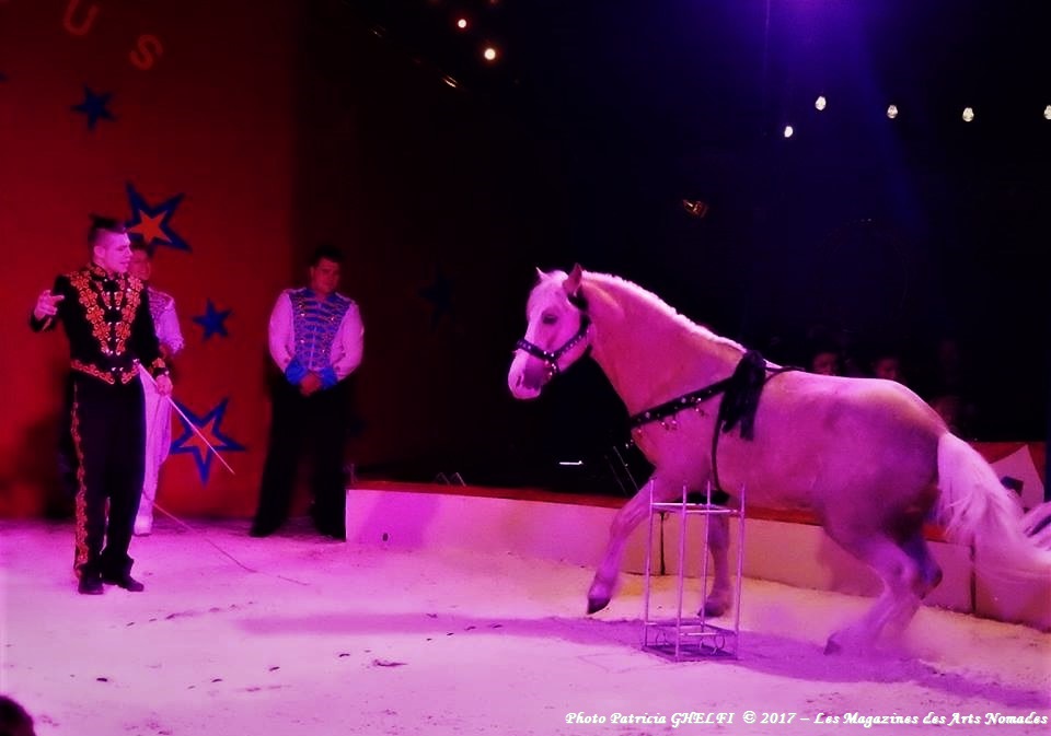 LES MAGAZINES DES ARTS NOMADES: Circus Bossle - en piste