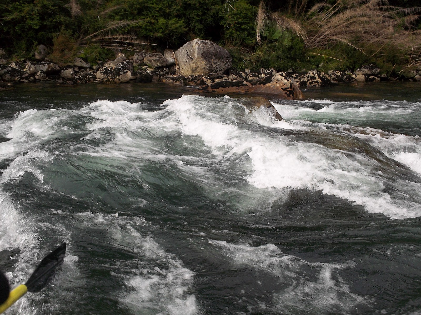 Fly fishing Chile: Rio Claro Solar La Junta Región de Aisen