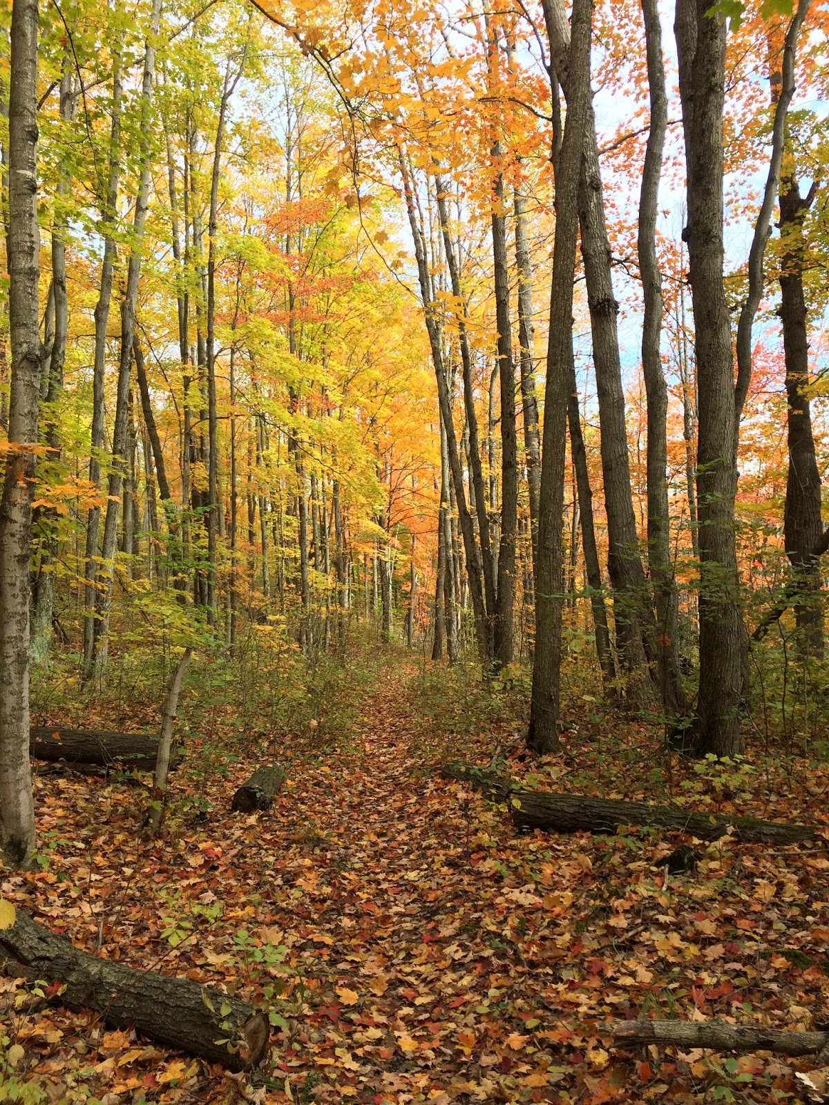 The 1,000-Mile Great Lakes Adventures: Jordan Valley Pathway
