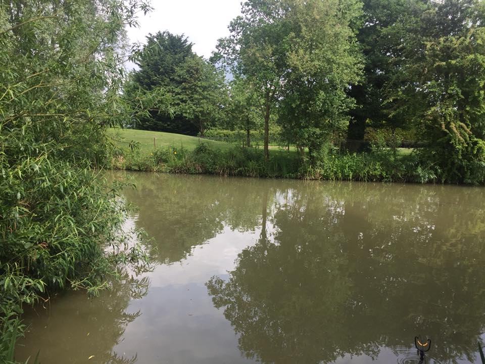 UK fishing venues: Raker Lakes (Horseshoe Lake) - Venue Review