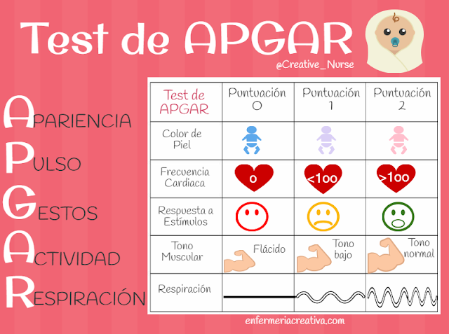 ENFERMERIA DEL RECIEN NACIDO,INFANCIA Y ADOLESCENCIA ( ERNIA): TEST DE ...