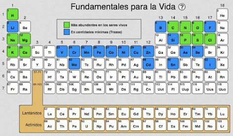 Los elementos más importantes para la biología