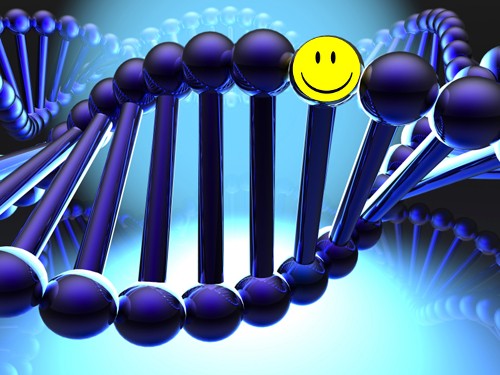 Interesting Green: The happy gene that makes you a smiley, more ...