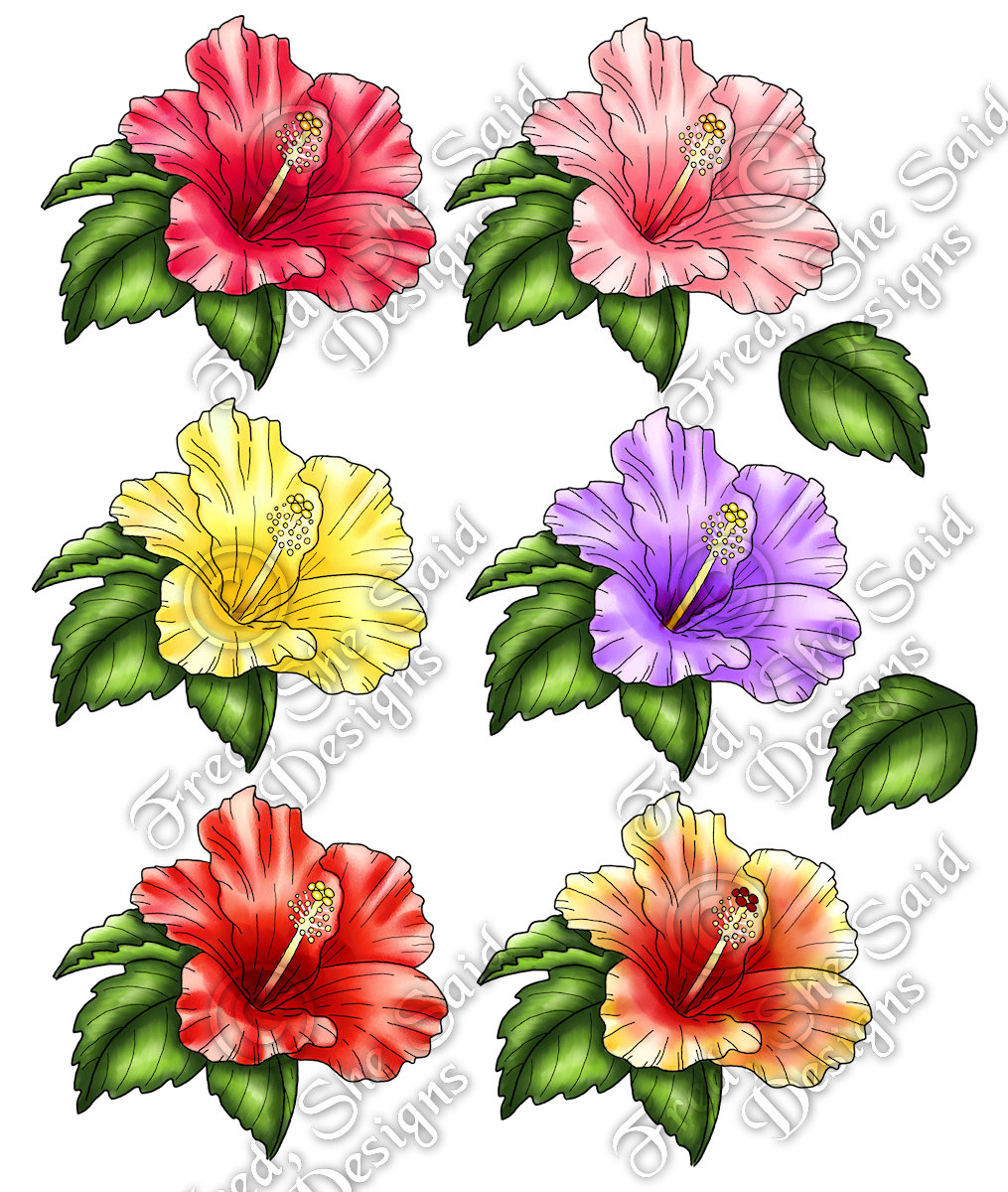 Fred, She Said Designs .... The Store: Hibiscus