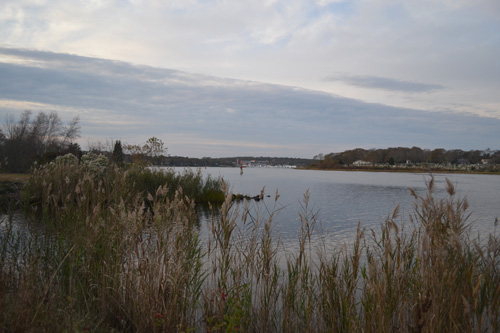 Dublin Hikes America: Pawcatuck River Wildlife Management Area (Stanton ...