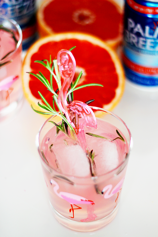 Palm Breeze Ruby Red Gin Spritz | Venus Trapped in Mars || Dallas