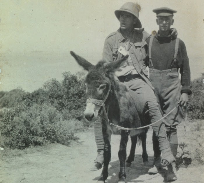 Broken Moments: donkeys and shepherds