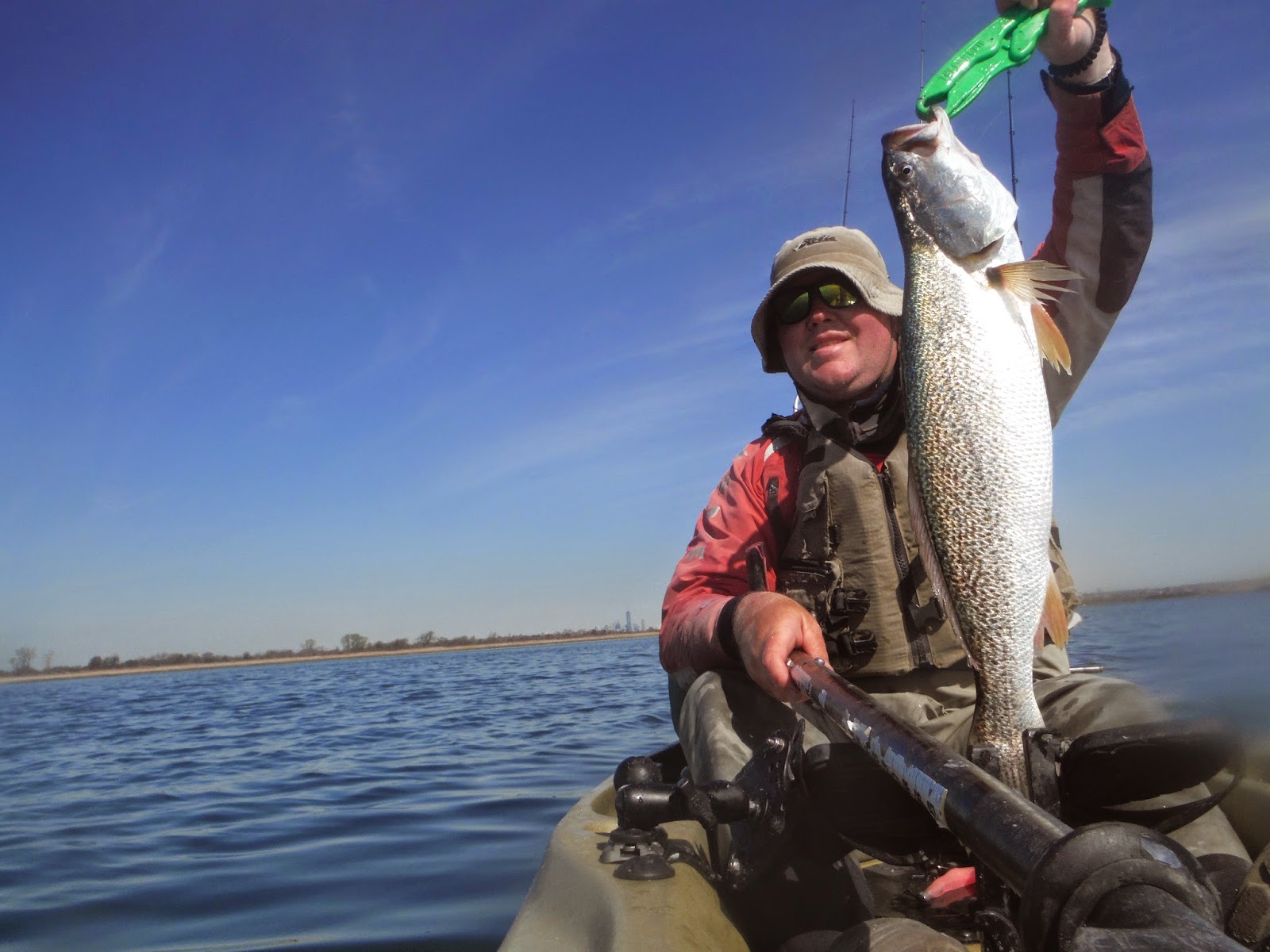 Long Island Kayak Angler: Tiderunner - 30" Weakfish