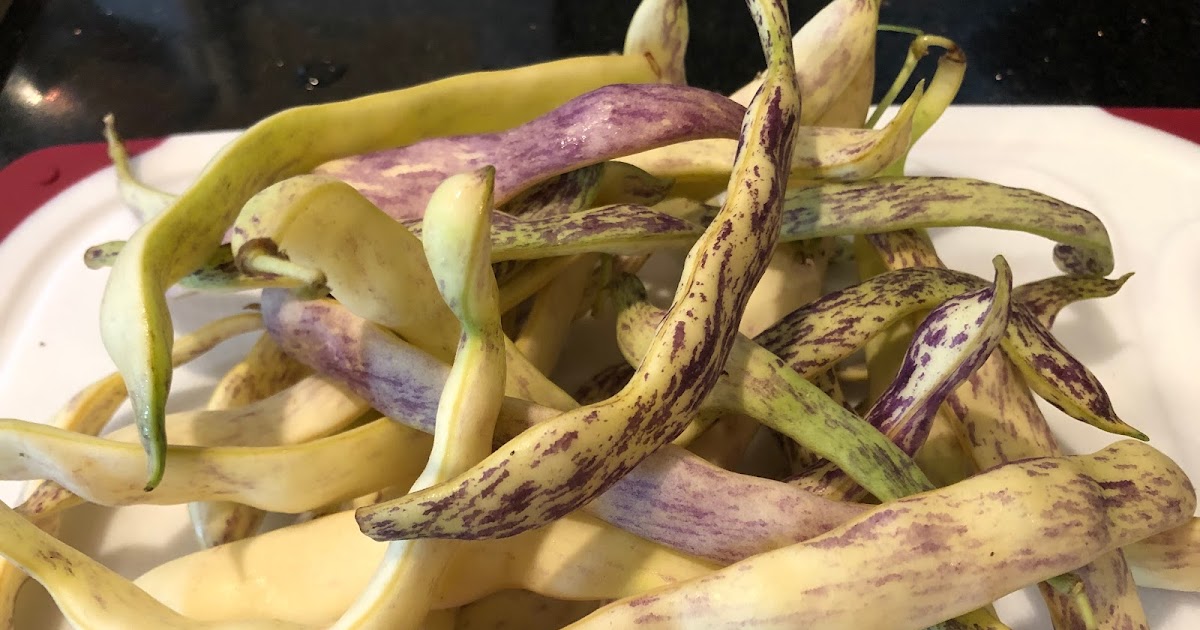 Dragon Tongue Beans!