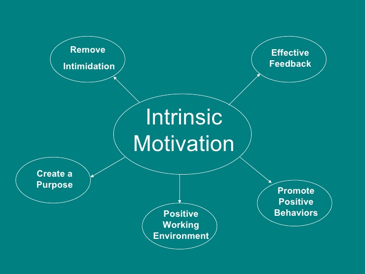What is motivation? definition and meaning. - Truelife