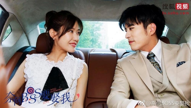 Drama China | Well Intended Love (2019)