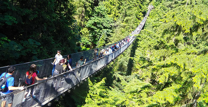 Guía para visitar Capilano Suspension Bridge en Vancouver
