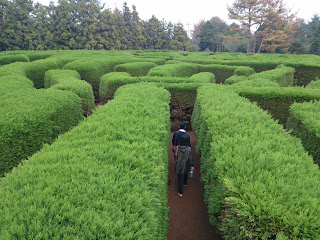 SixteenPenang: Jeju Island - Gimnyeong Maze park and Love Land
