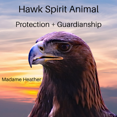 Spirit Animals that Symbolize Protection